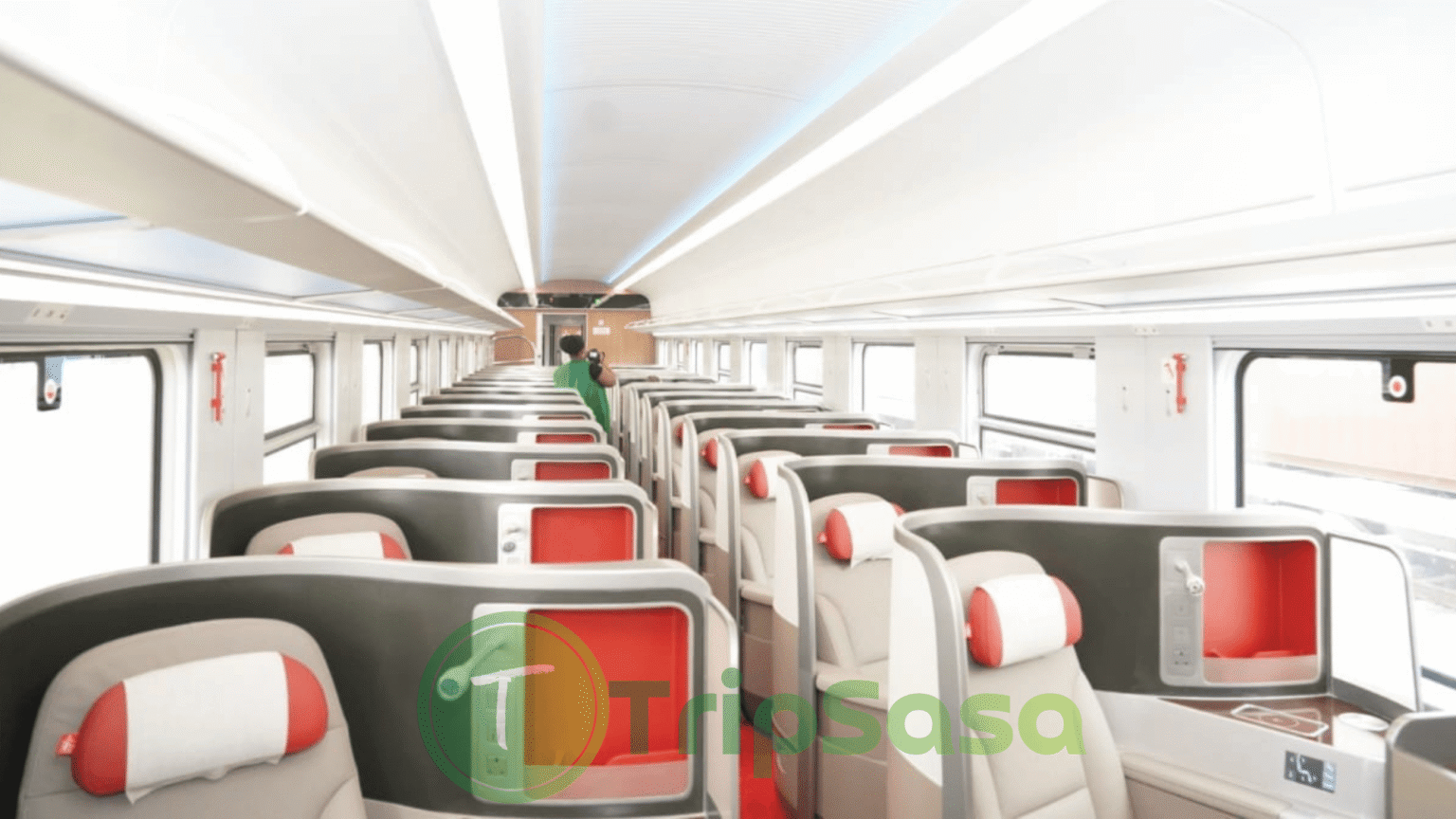 Madaraka Express SGR Kenya Train - TripSasa