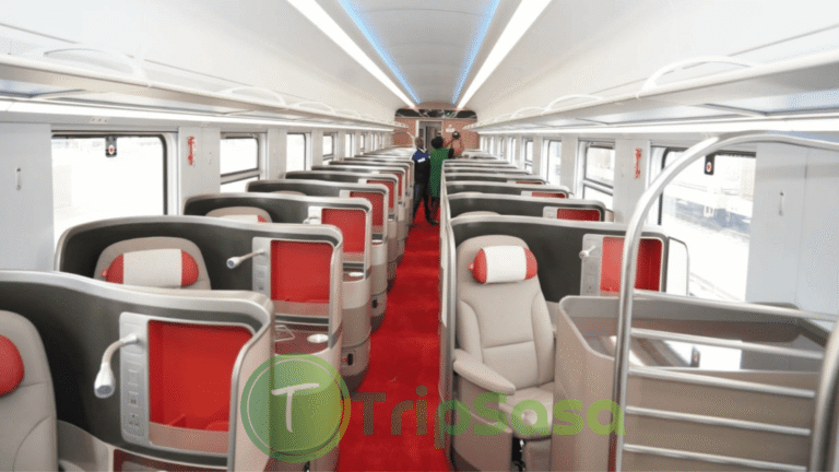 Madaraka Express SGR Kenya Train - TripSasa