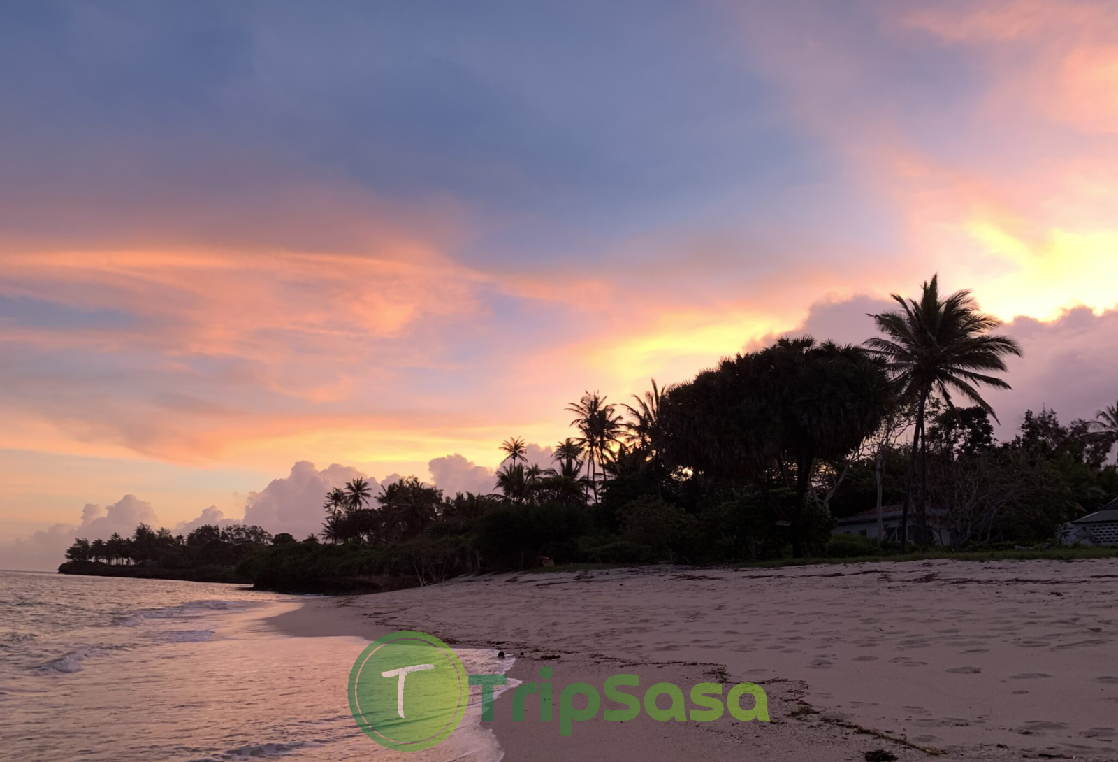 Inspiring Things To Do In Diani Beach - TripSasa